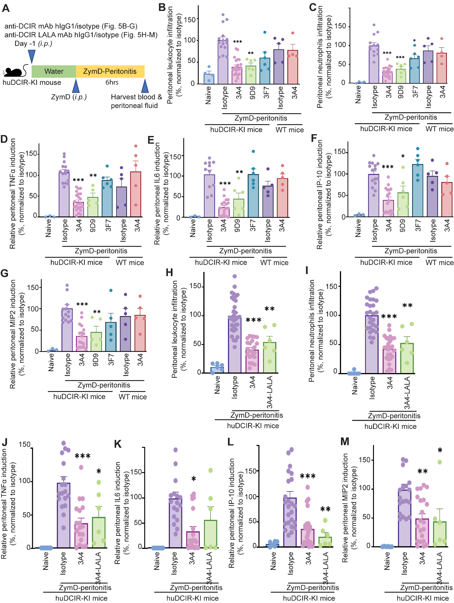 文献分享：激动型抗DCIR抗体抑制ITAM介导的信号转导并促进免疫消退