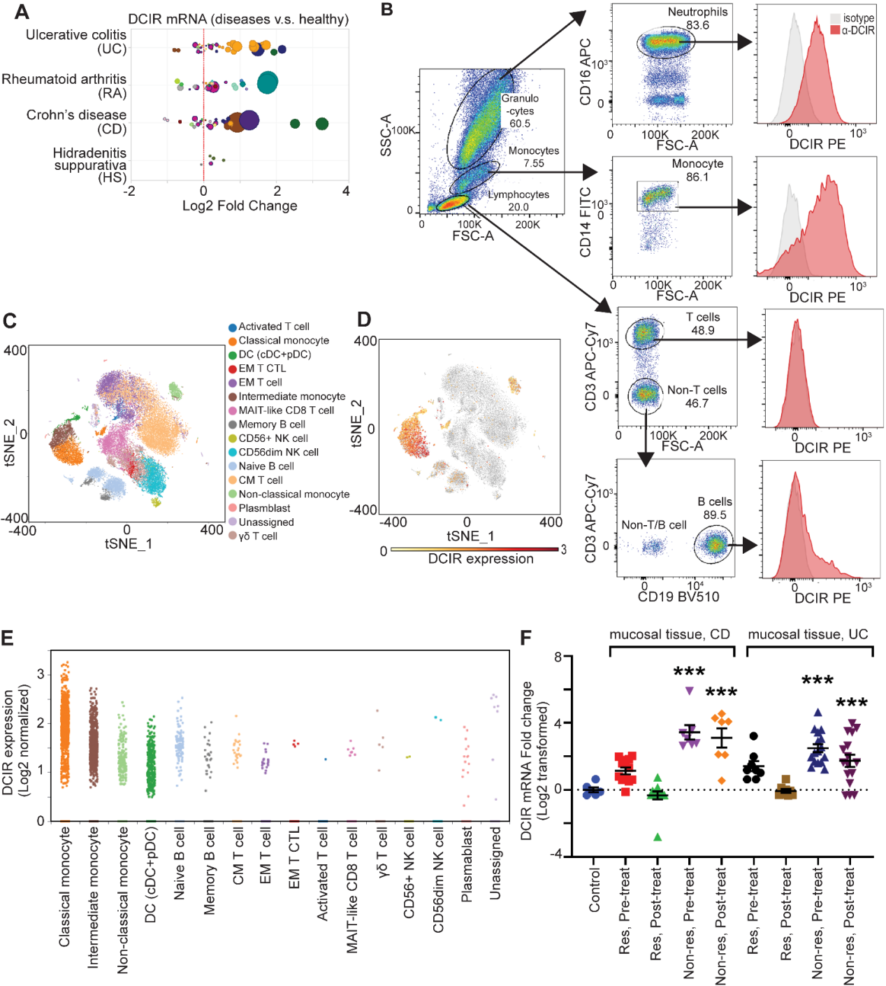 文献分享：激动型抗DCIR抗体抑制ITAM介导的信号转导并促进免疫消退