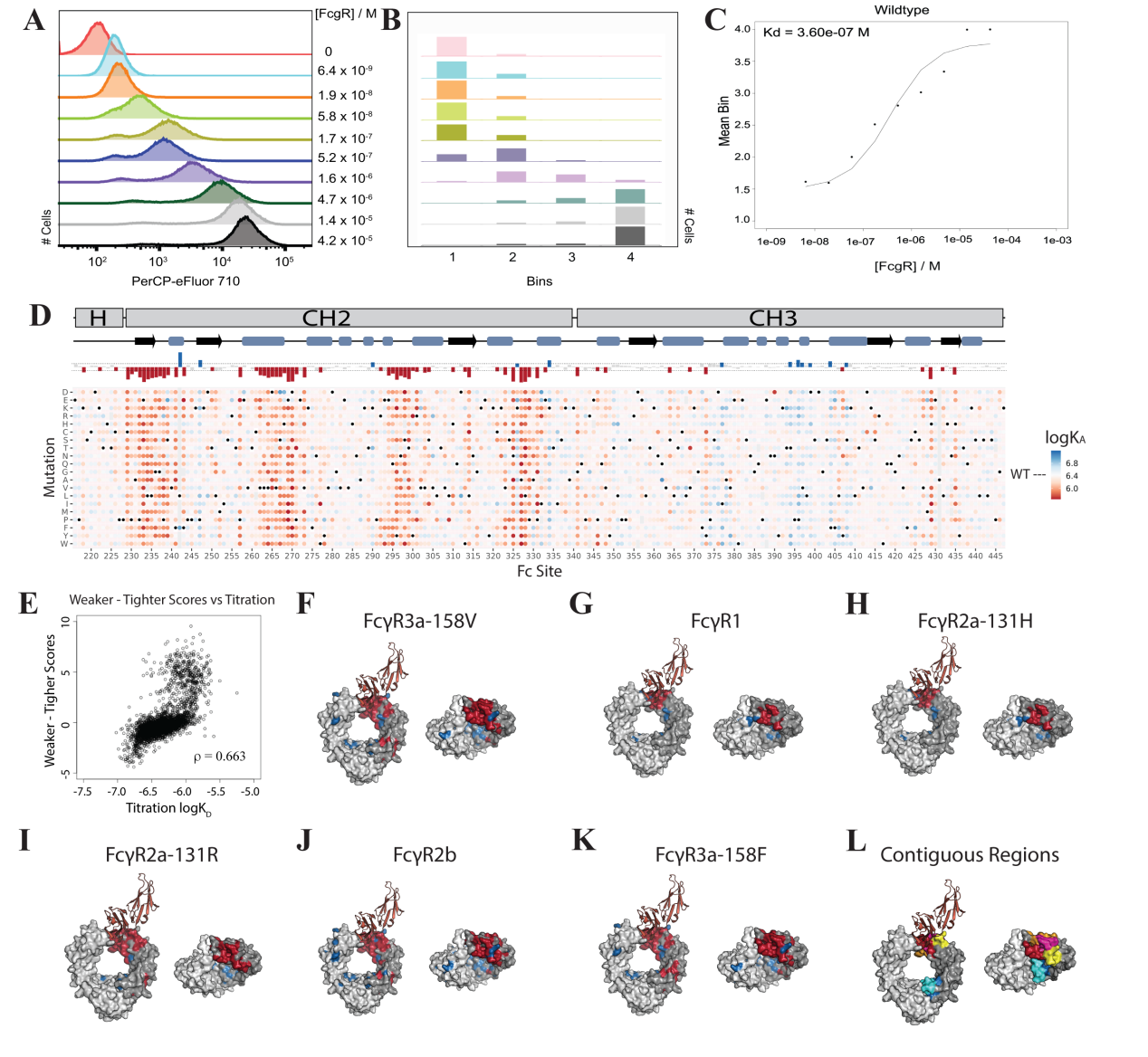 文献分享：IgG抗体Fc与FcγR相互作用图谱
